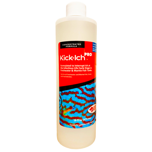 RubyReef | Reef Safe Ich Medicine for Saltwater Fish - Marine Ich Treatment – Freshwater Ich ...