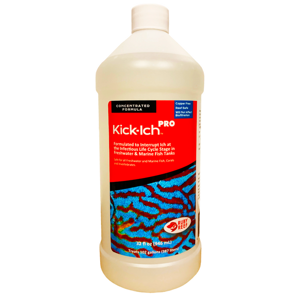 RubyReef | Reef Safe Ich Medicine for Saltwater Fish - Marine Ich ...